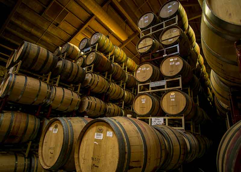 Vino Fragolino: cos’è, storia e perché è illegale