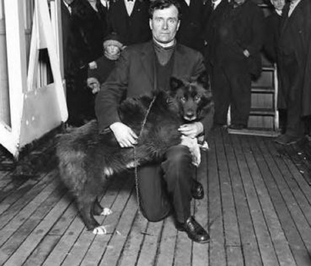 La vera storia di Balto, il cane protagonista del Film di animazione